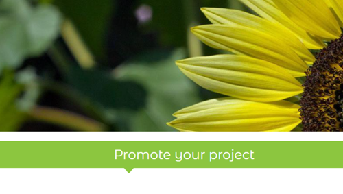Promote Your Project - Green Flag Award