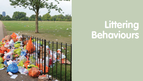 The Little Book of Litter - Green Flag Award