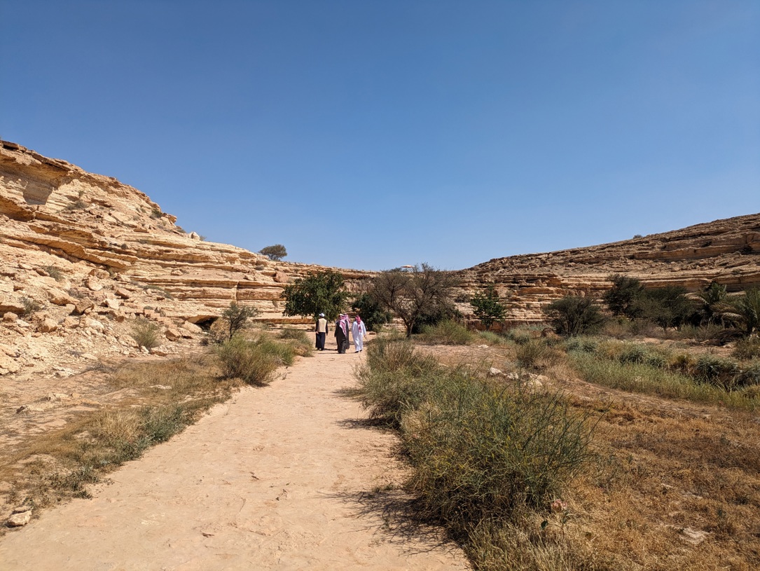 Two parks in Saudi Arabia win the first Green Flag Awards in the ...