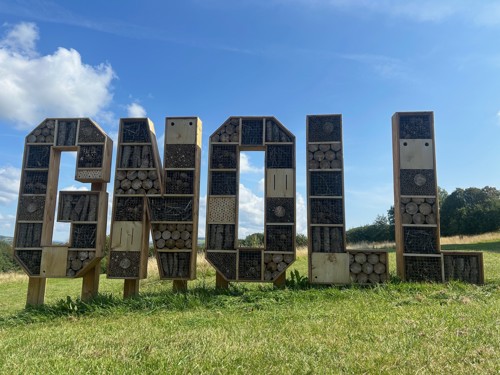 Green Flag Award 2025 Best habitat or biodiversity project: The ...